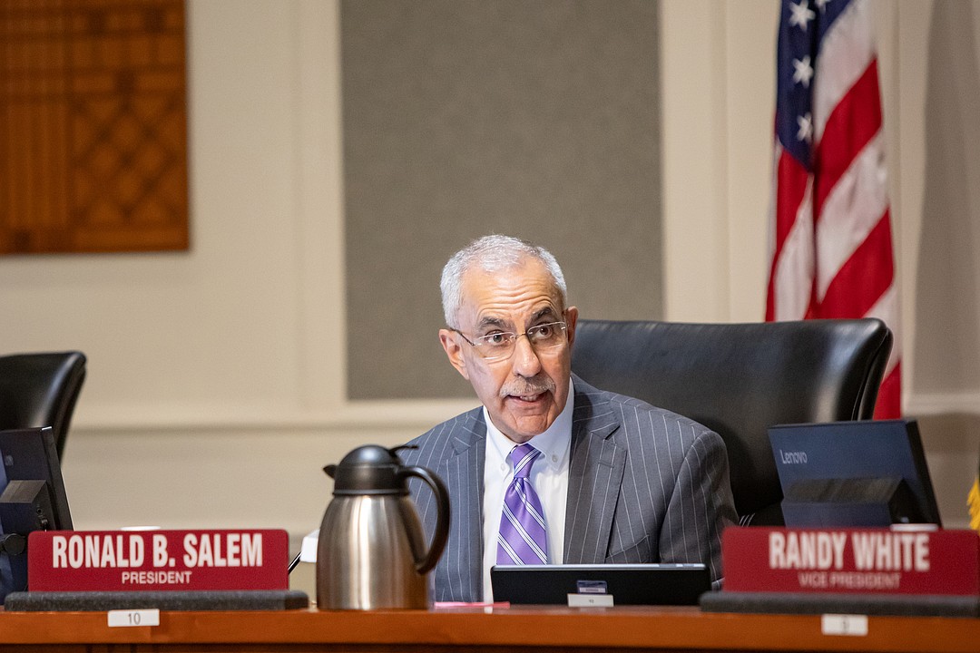 Council member Ron Salem says local DOGE raises questions about status ...