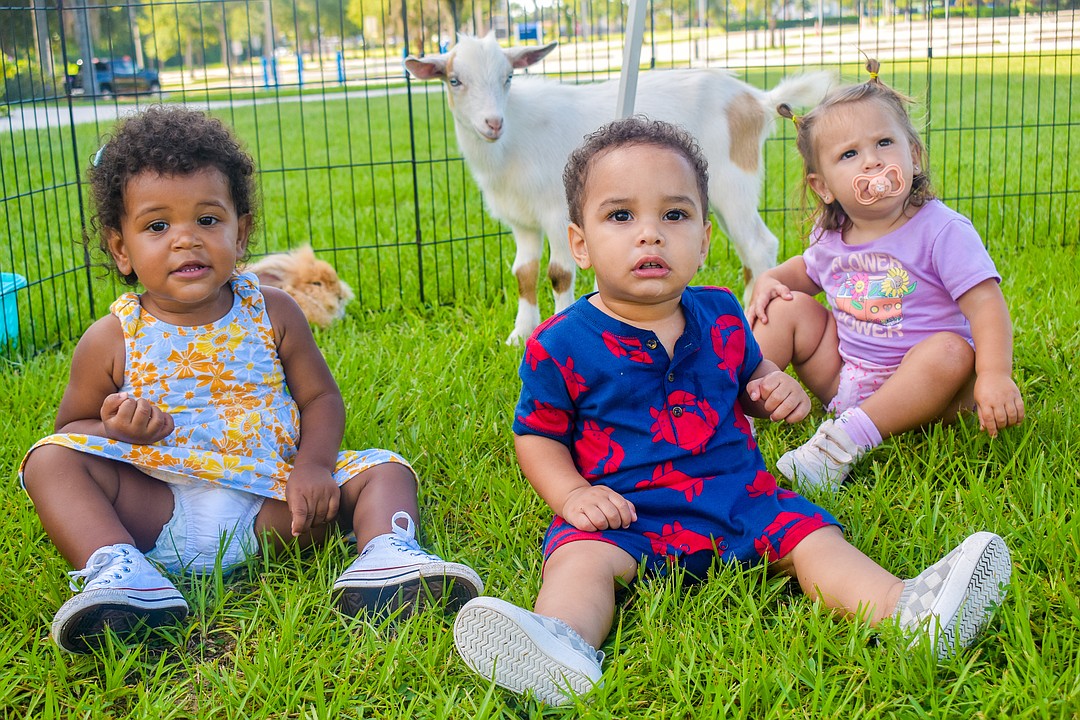 PHOTOS: 2024 Camp Roar at The First Academy | West Orange Times & Observer