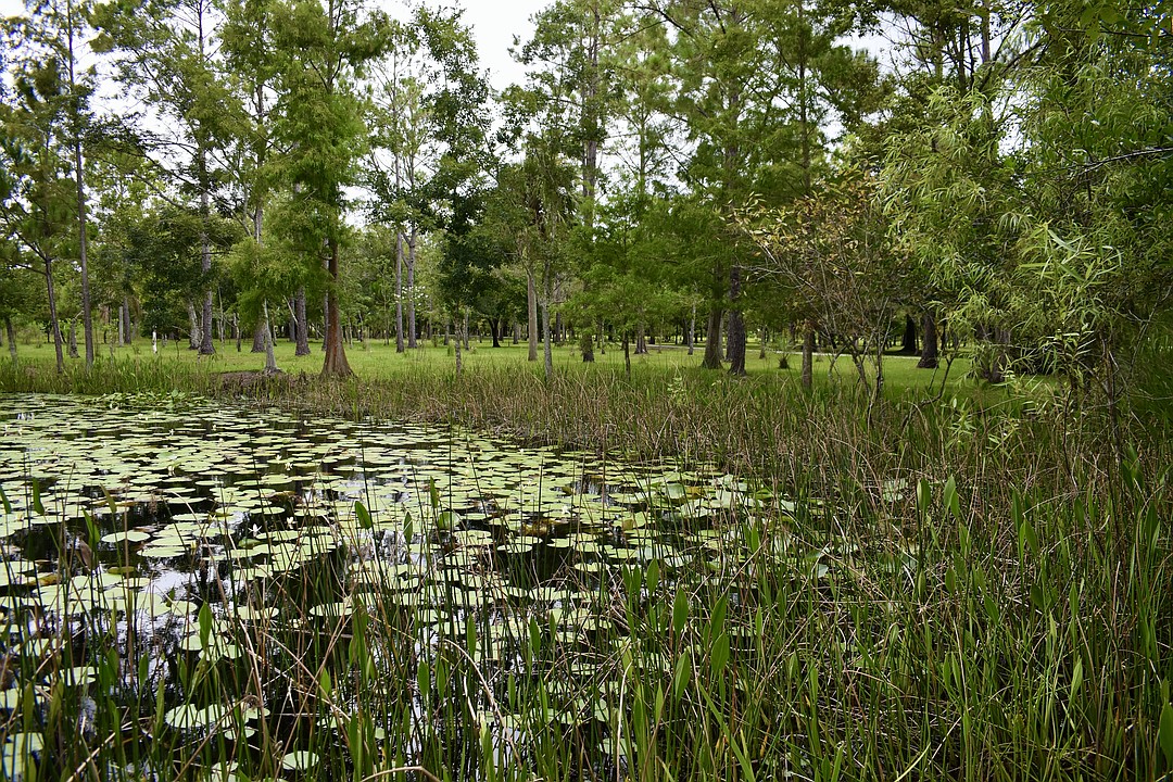 Manatee County to preserve key Myakka property | Your Observer