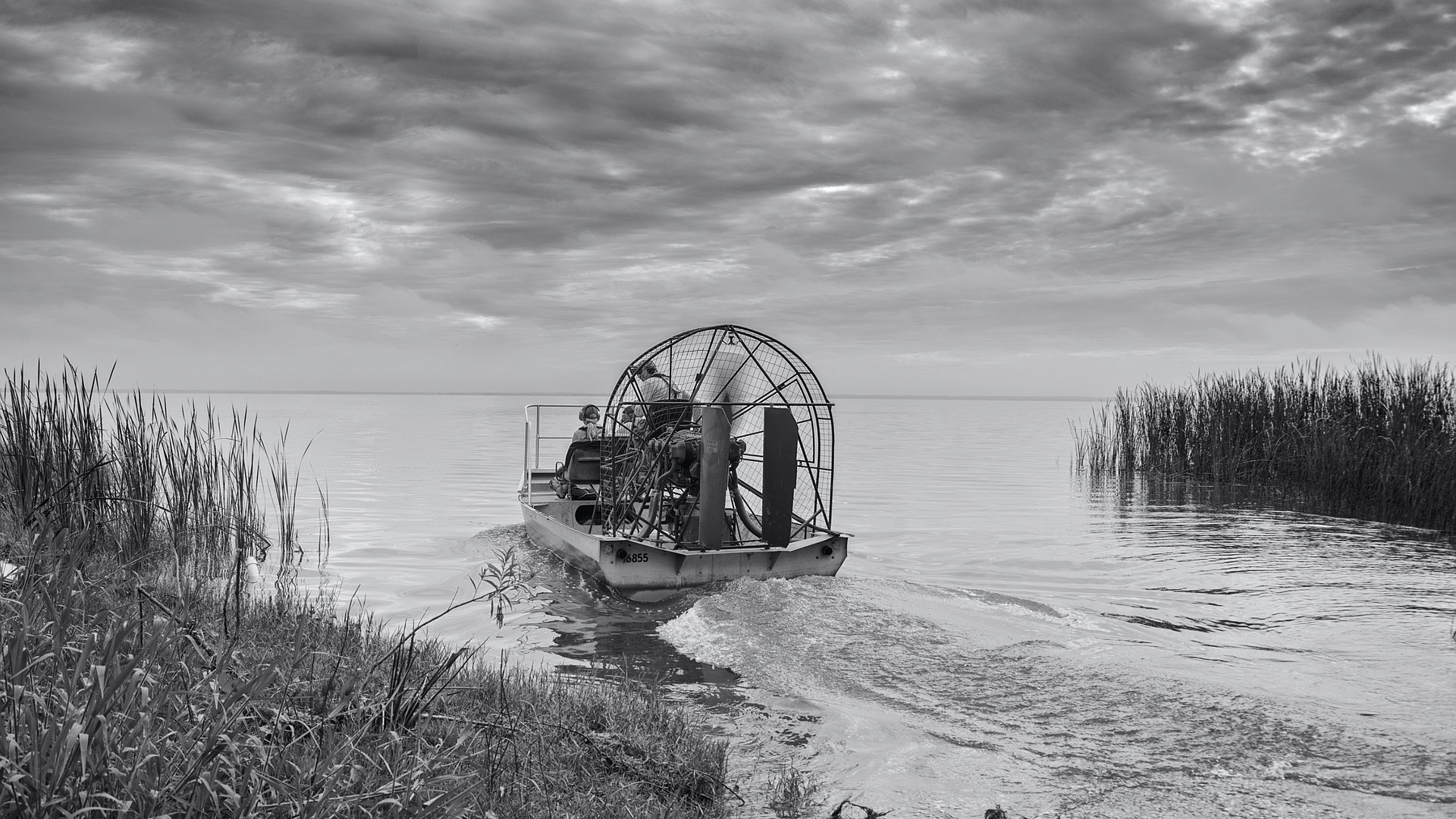 Crealdé donates lake exhibition to City Hall | West Orange Times & Observer