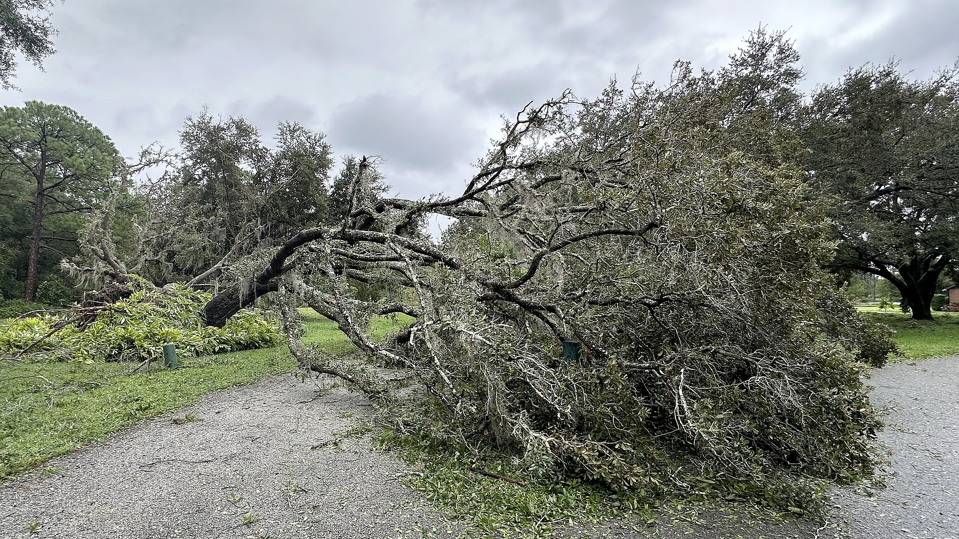 PHOTOS: Hurricane Milton, Winter Garden | West Orange Times & Observer