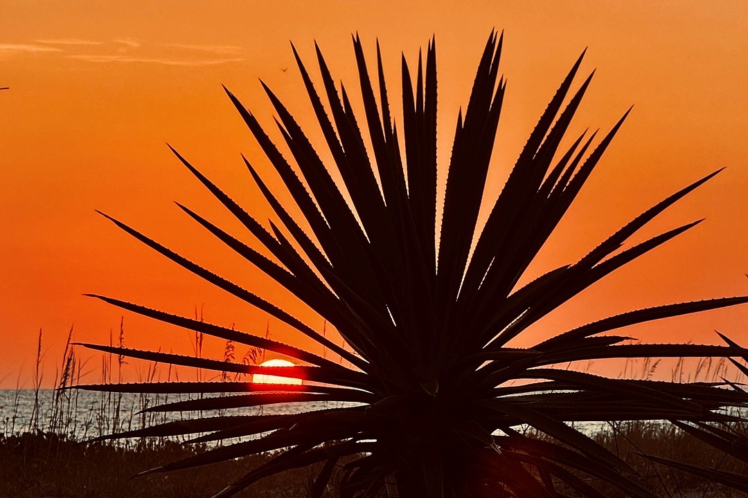 Longboat Key named best island to visit in the South | Your Observer
