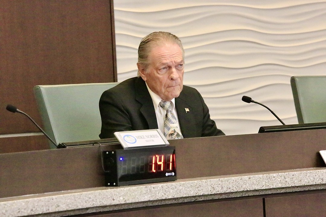 Ray Stevens' replacement on Palm Coast City Council to be appointed ...