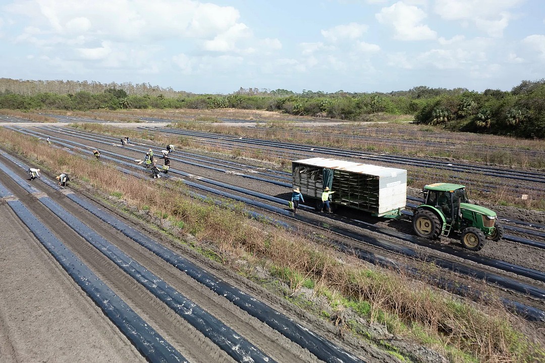 Buyer found for 6,000-acre Collier farm listed at $59 million ...