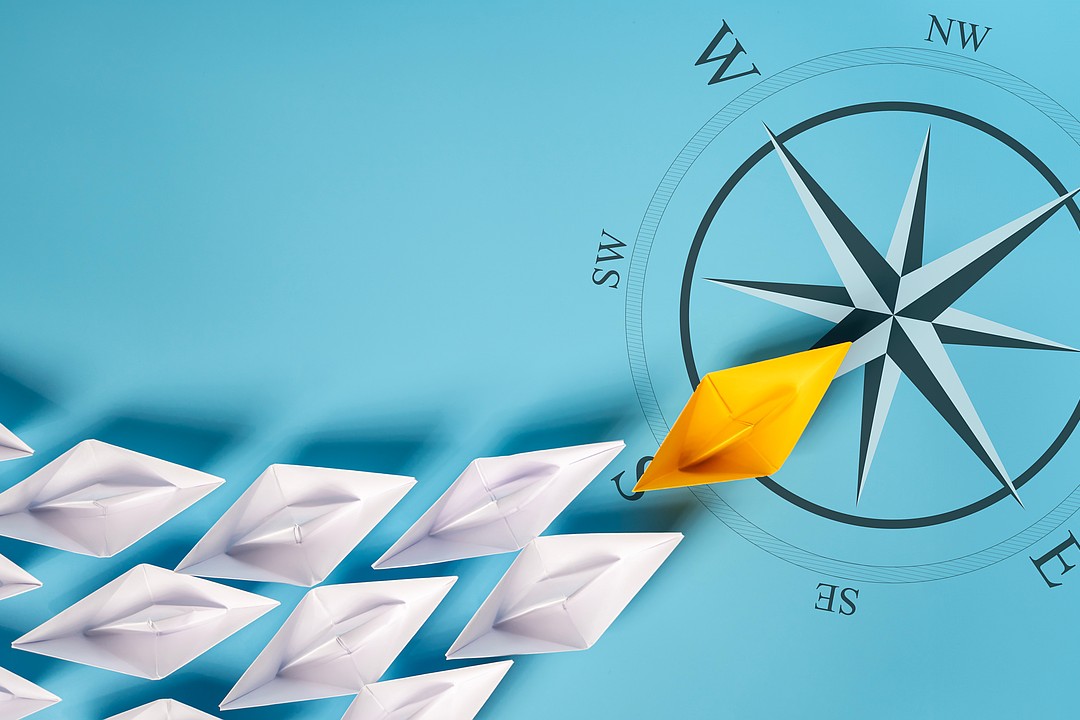 Riders, elephants and paths: Three steps to navigate change leadership ...