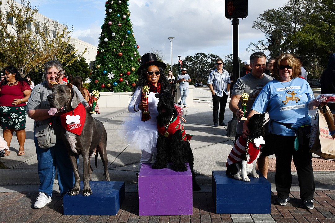 PHOTOS: Dogs hit the red carpet in third Annual Holiday Dog Parade in ...