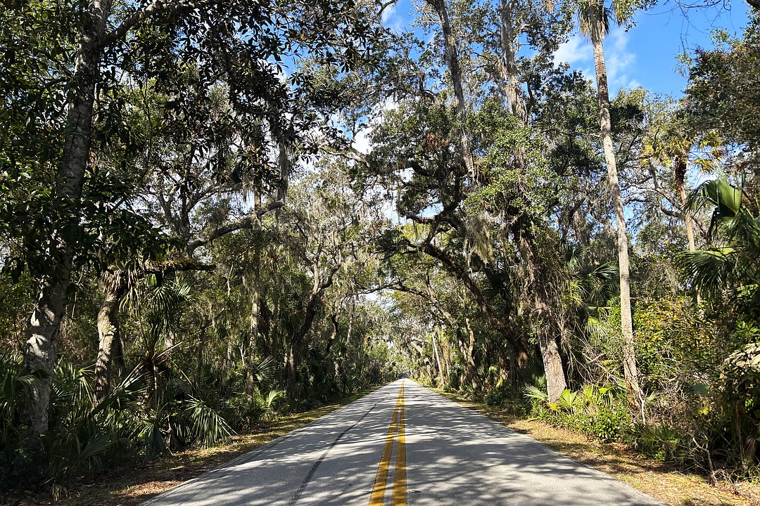 Volusia County transitions ReGrow the Loop leadership and plans ...