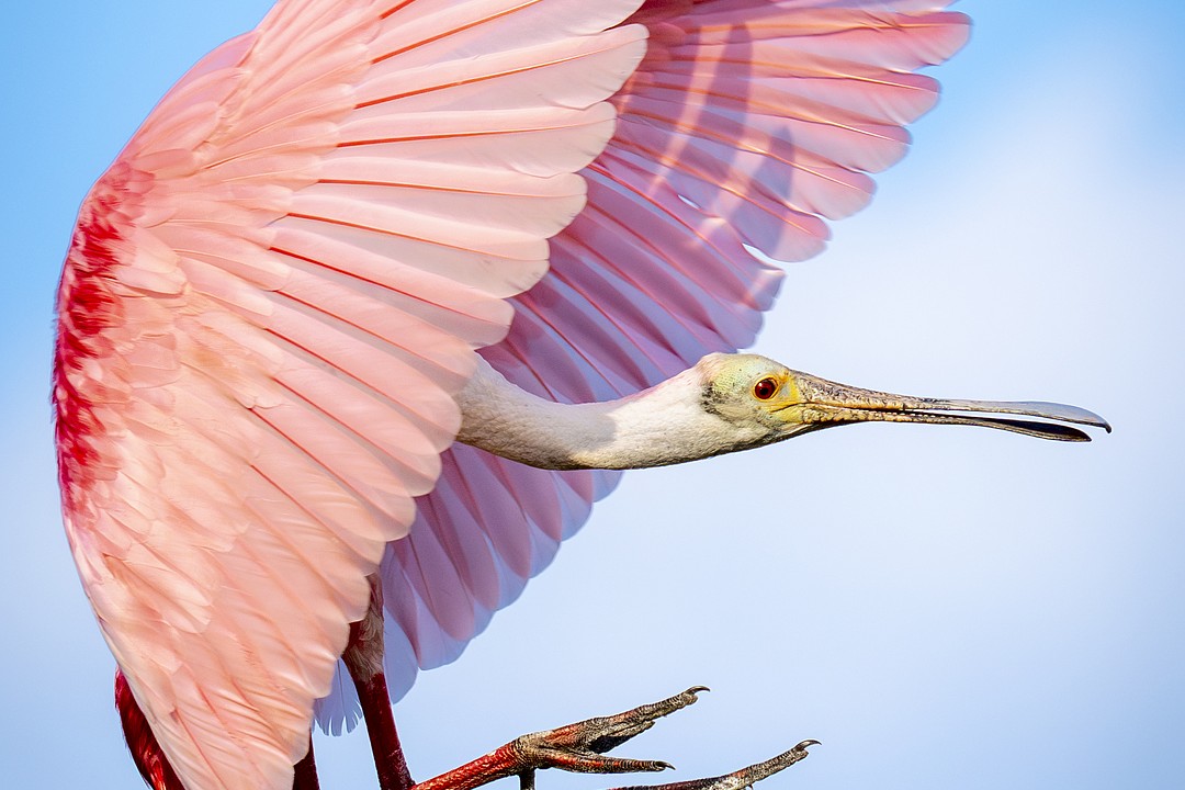 Works of HeART: Winter Garden photographer Jon Burket | West Orange ...