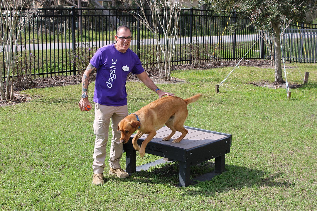 Opinion: Former explosives expert gets a charge out of helping dogs ...