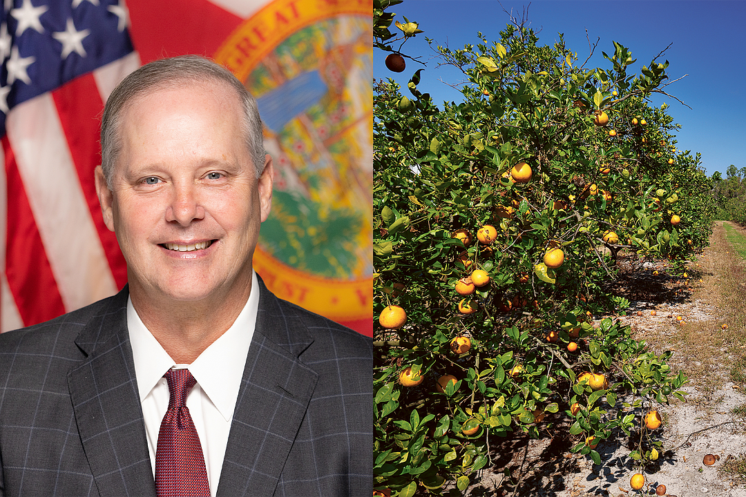 Wilton Simpson talks egg prices, farm bill and political future ...