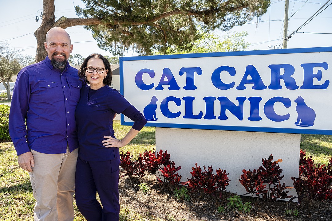 Feline fine: Cat Care Clinic to celebrate 25th anniversary in Ormond Beach | Observer Local News ...