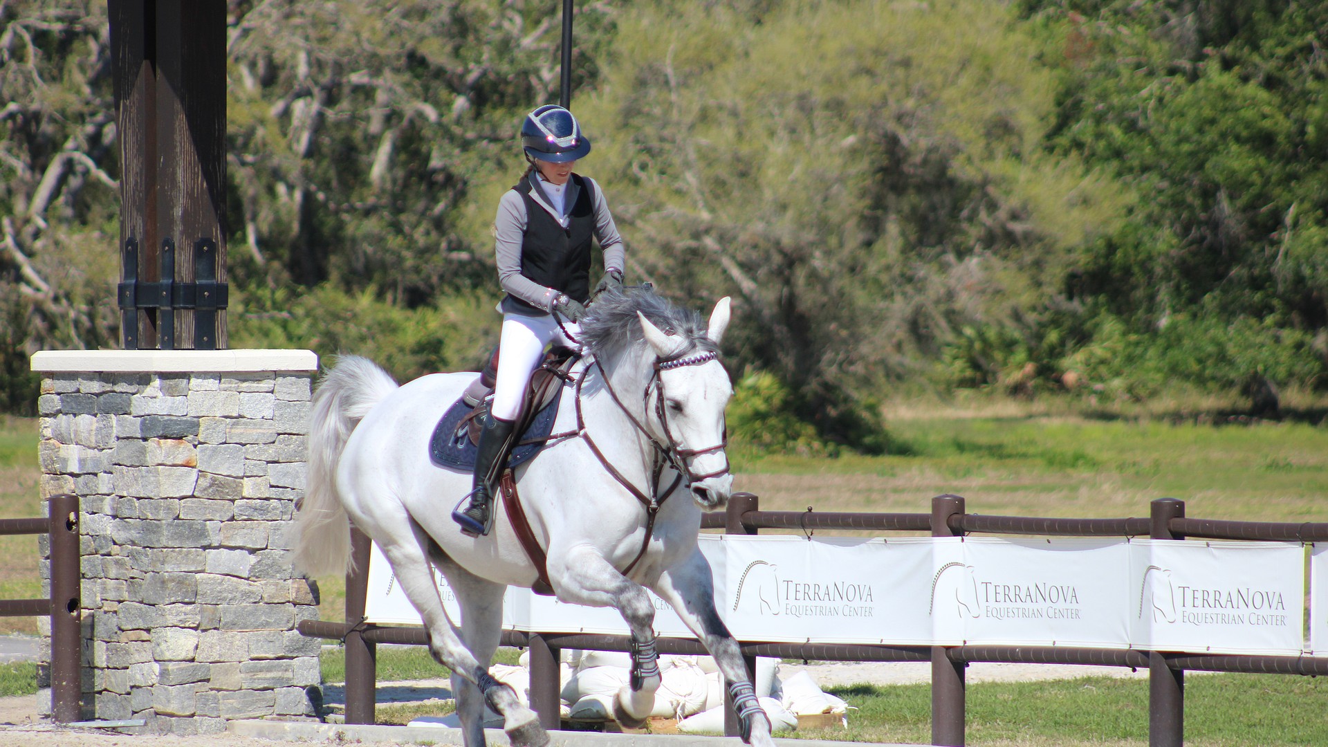 Irish rider captures Split Rock Jumping Tour Finale at TerraNova | Your ...