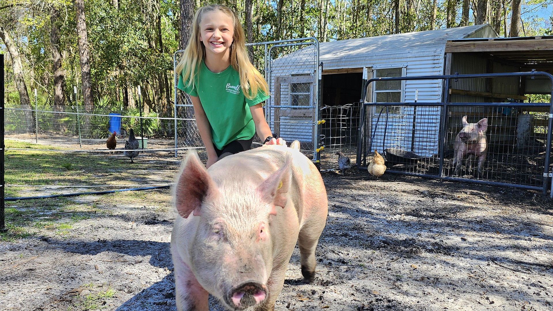 A family Fair: Coralynn Soard enters sixth year at Flagler County Fair ...