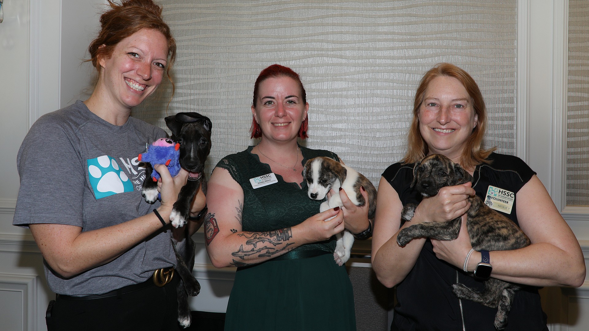 Mission Pawssible helps Humane Society of Sarasota County find forever ...