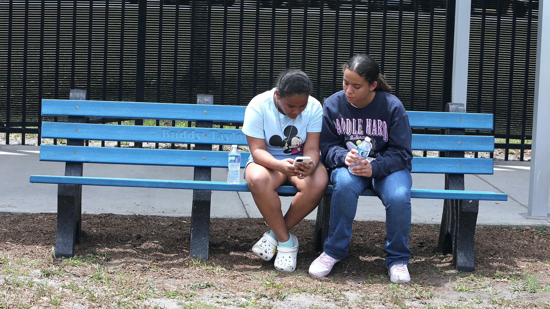 Buddy Taylor Middle School unveils a little bit of nature transformed from 500 pounds of bottle ...