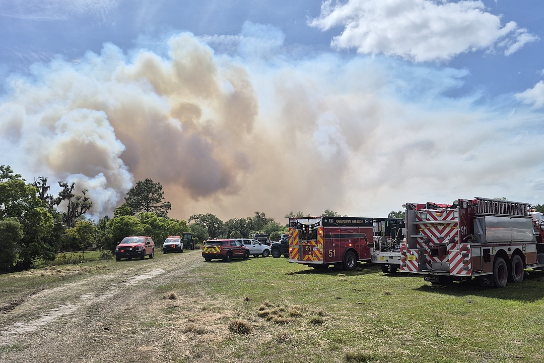 Wildfire on Flagler County’s west side grows from 7 to 250 acres ...
