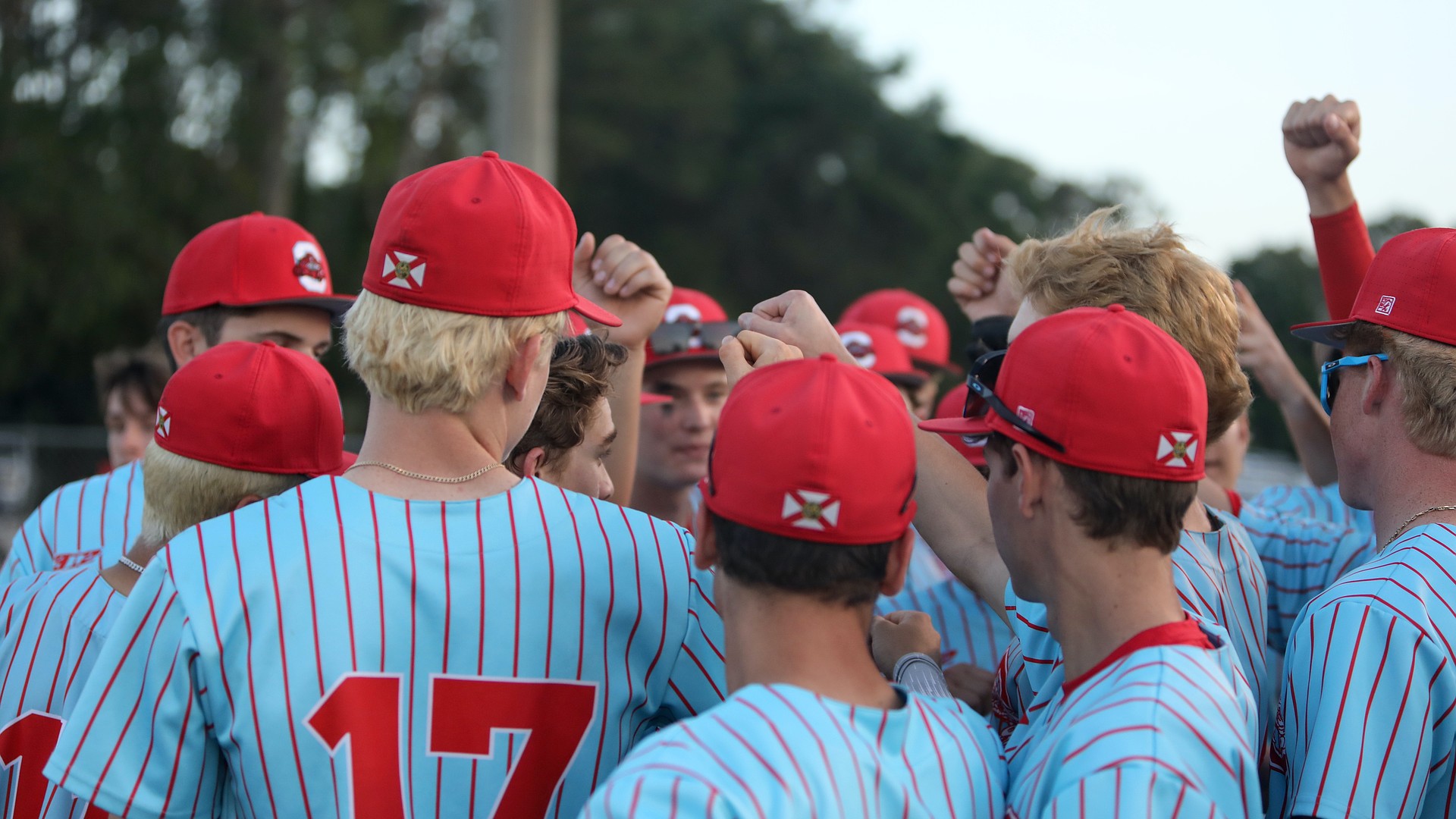Seabreeze's baseball season of blue cheese and crazies comes to an end ...