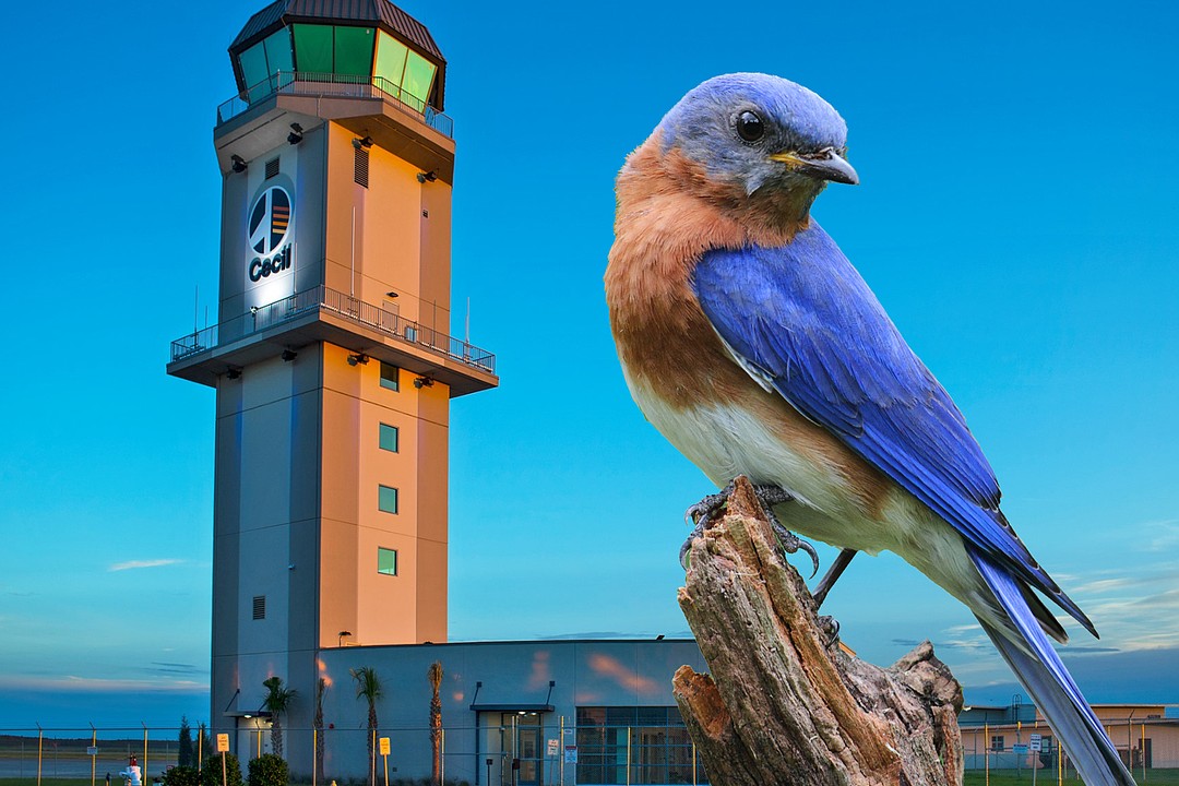 Aircraft manufacturer seeks city incentives for $430 million production facility in Jacksonville ...