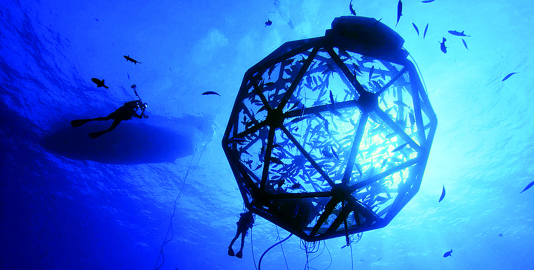 EPA approves aquaculture operation offshore Sarasota | Your Observer