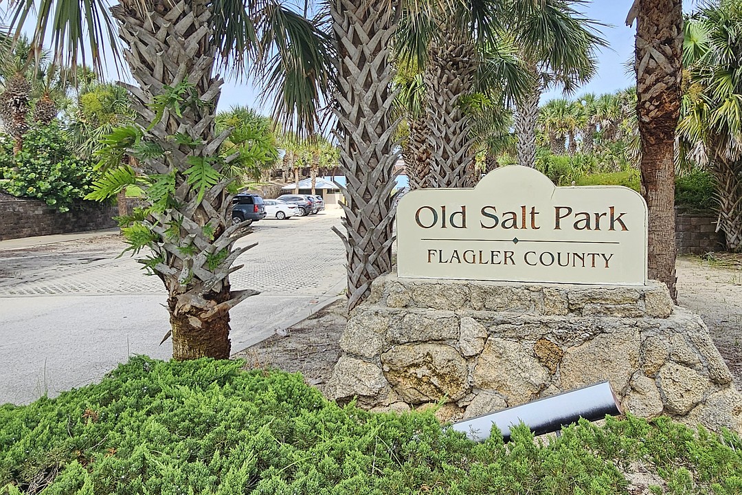 Old Salt Park beach access, parking to be expanded | Observer Local ...