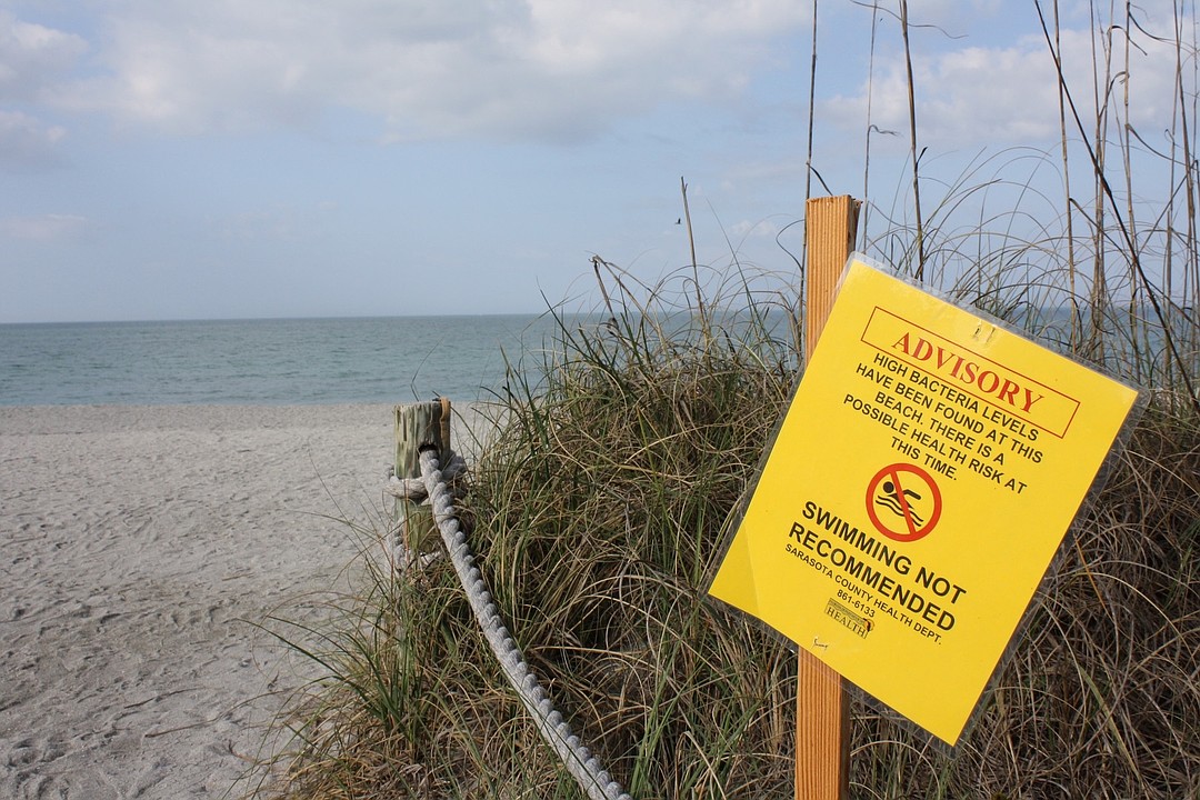 Water quality warning issued for North Lido Beach | Your Observer