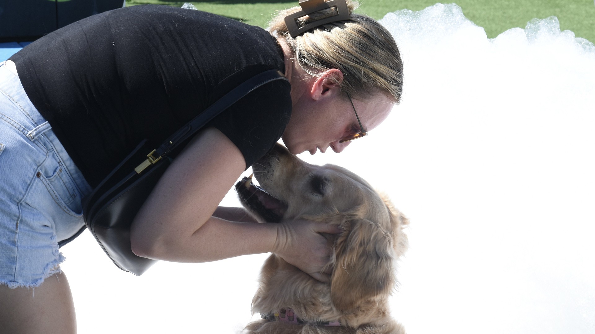 Sarasota celebrates reopening of beloved dog bar | Your Observer