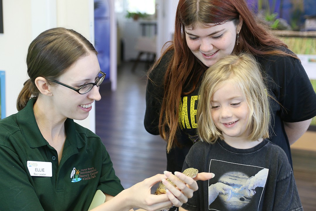 Dexter's homecoming: Ormond Beach Environmental Discovery Center ...