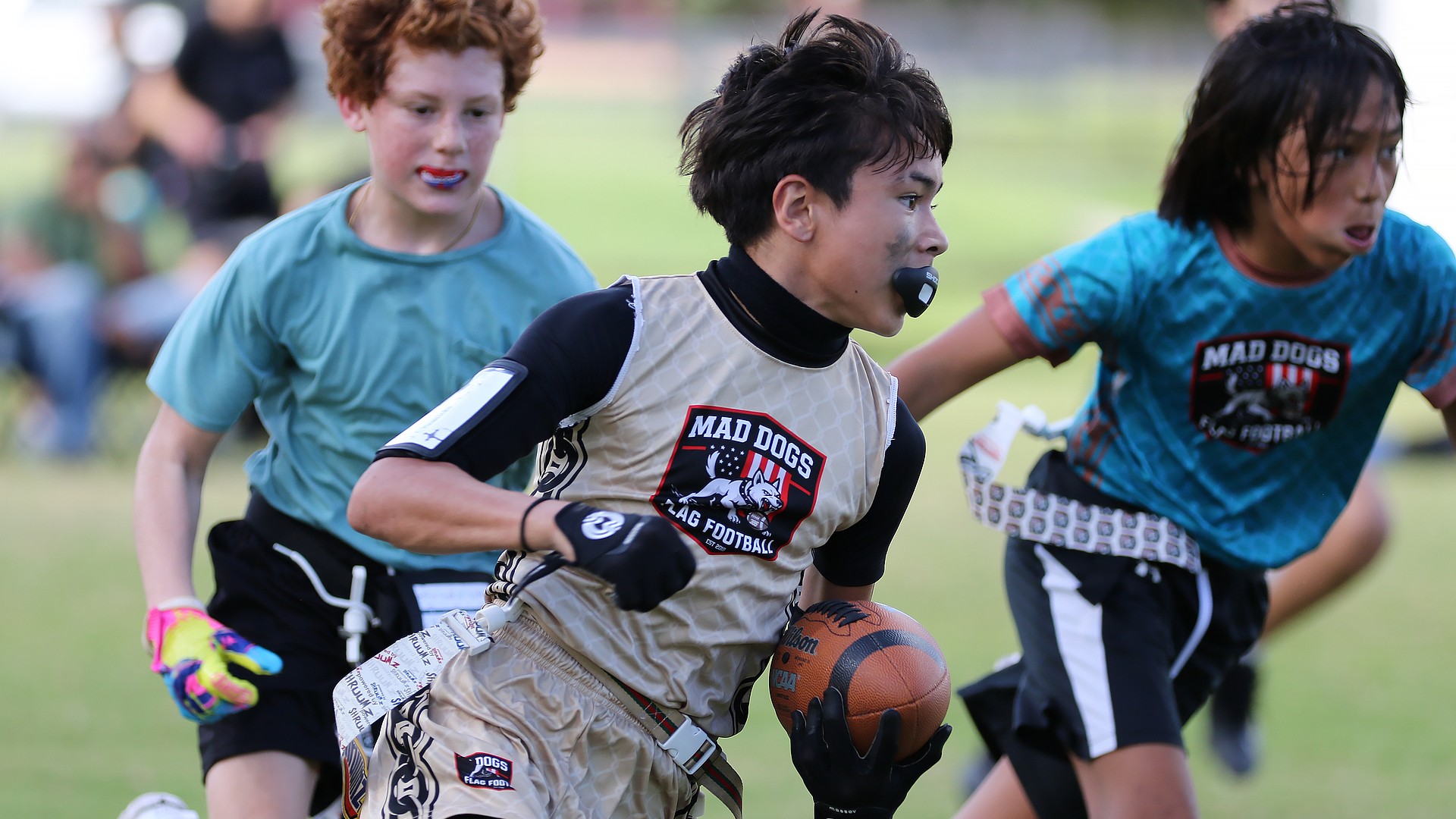 Mad Dogs Flag Football kicks off fall season at Palm Coast's Ralph ...