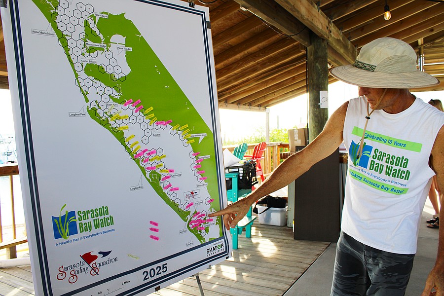 Great Scallop Search yields 20 sightings in Sarasota Bay | Your Observer