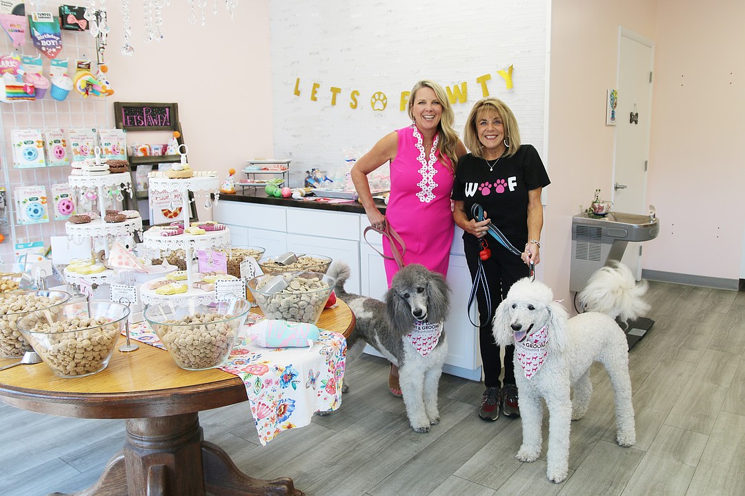 Woof Gang celebrates one year anniversary under new ownership in Ormond ...