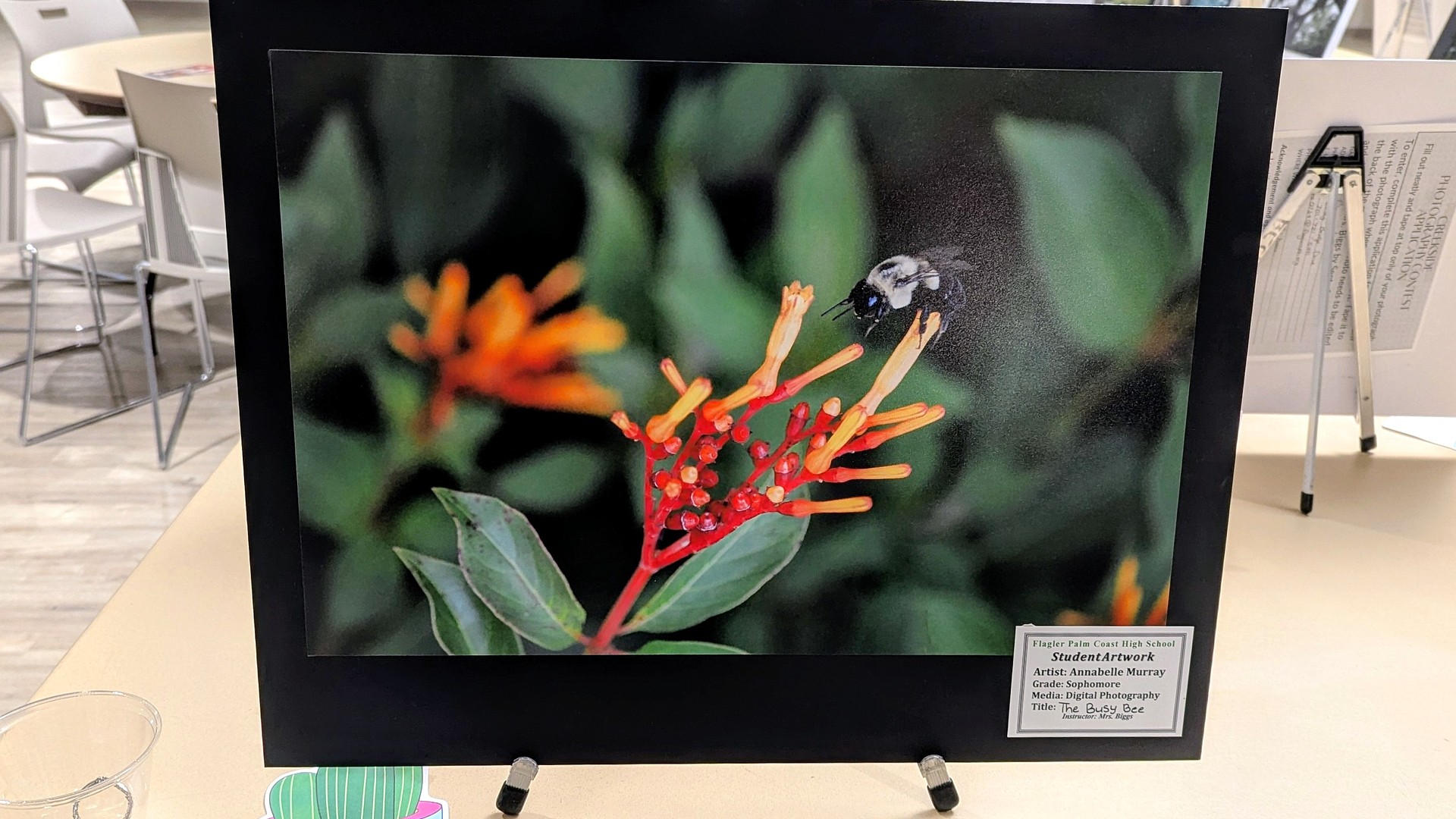 FC3 announces Palm Coast cultural grant recommendations, FPC student ...