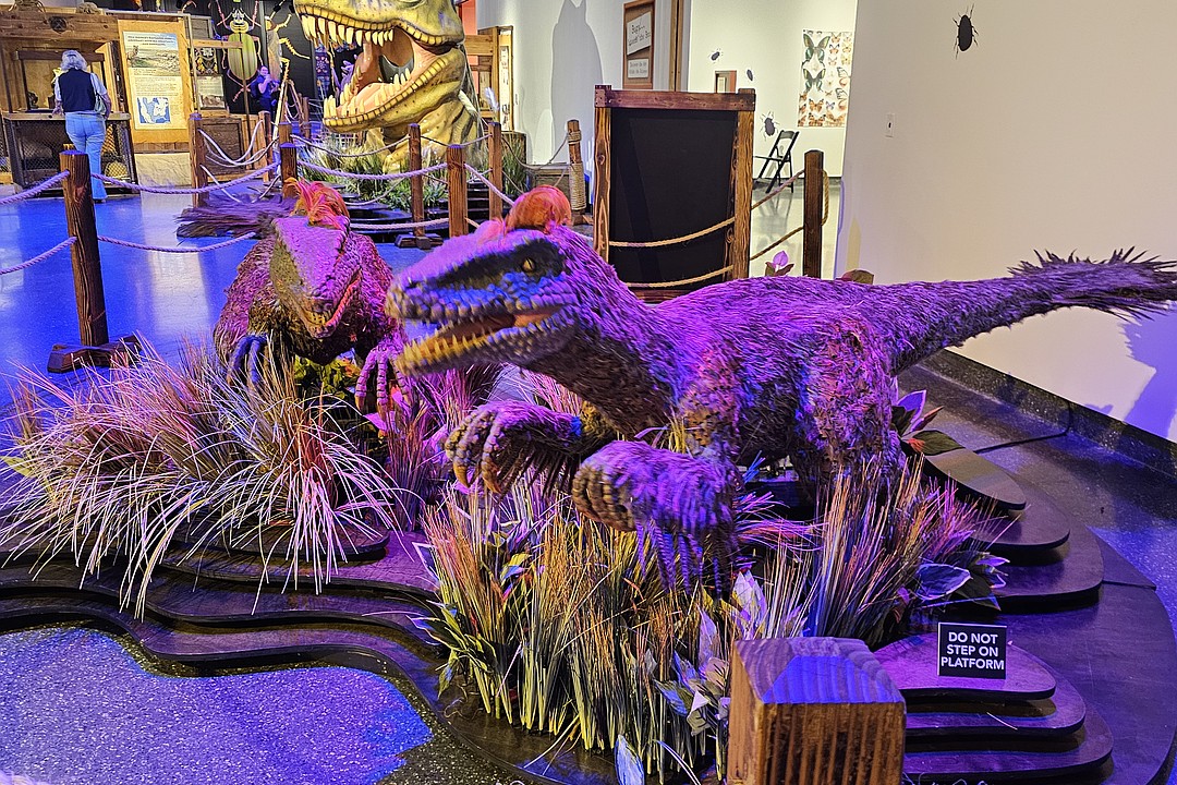 Expedition: Dinosaurs at Daytona Beach MOAS bring the prehistoric era ...