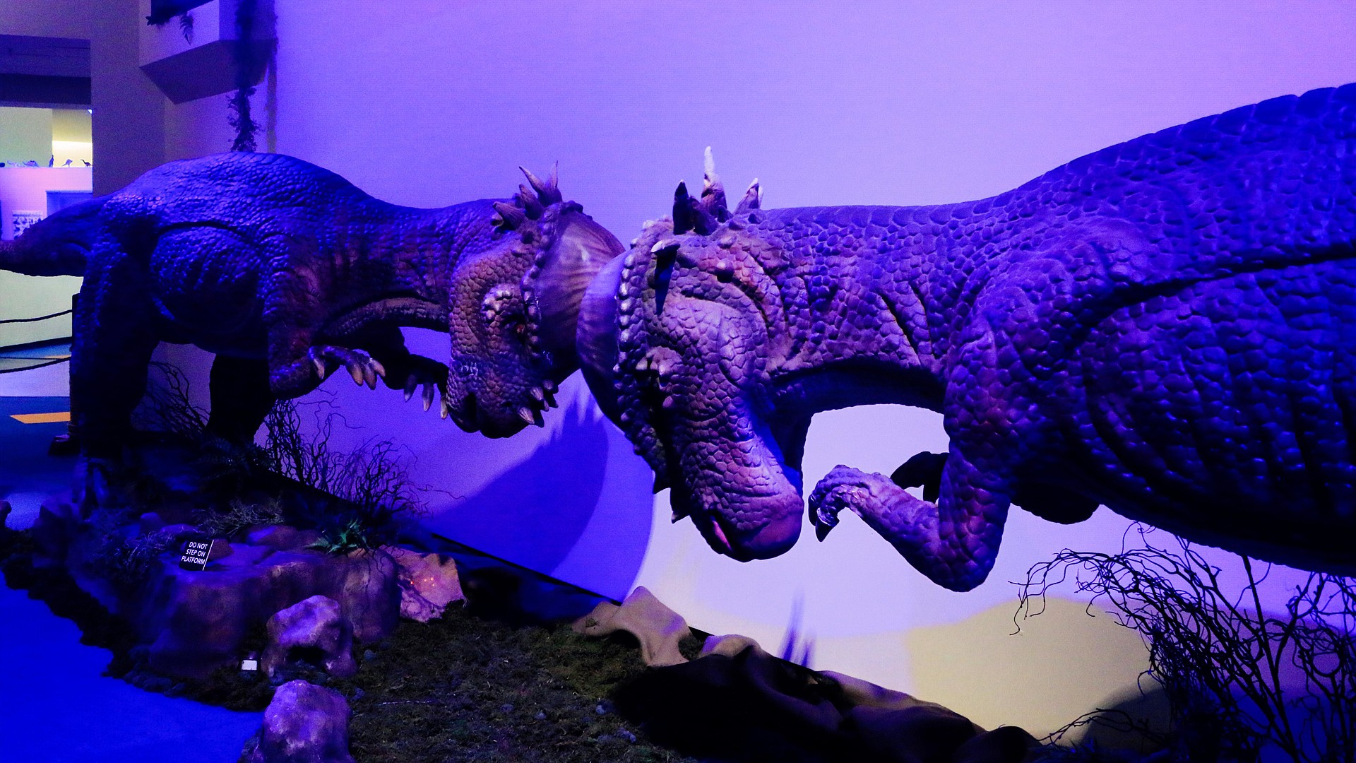 Expedition: Dinosaurs at Daytona Beach MOAS bring the prehistoric era ...