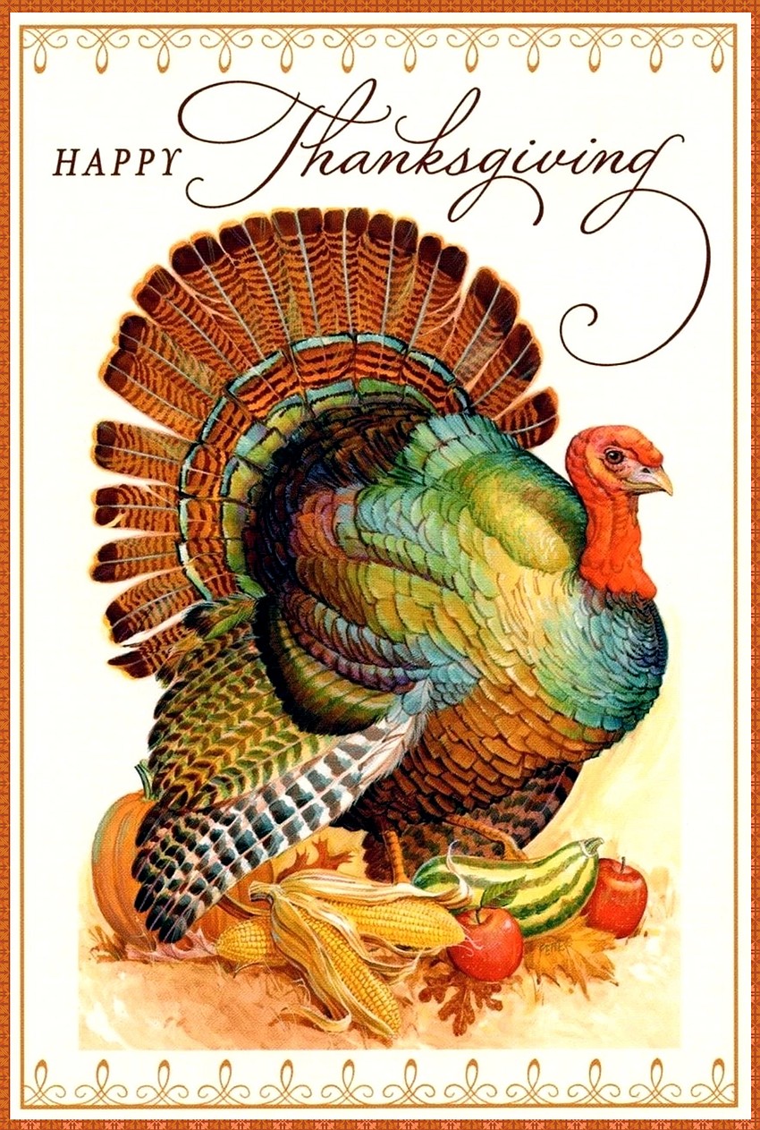 A brief history and traditions of Thanksgiving in Florida | Observer ...
