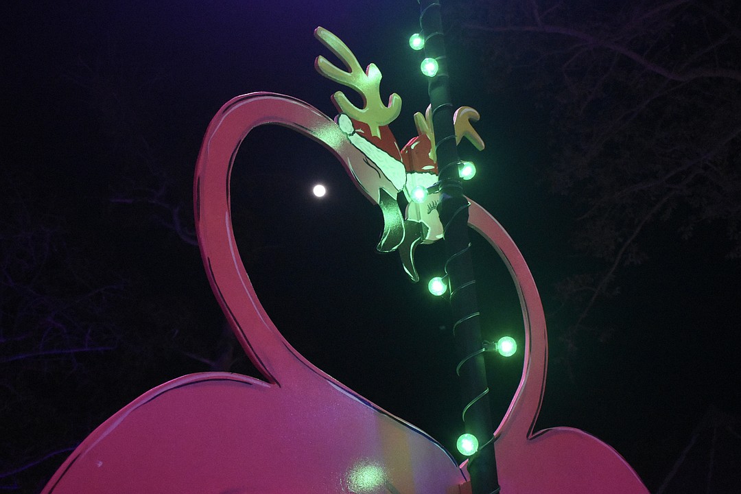 Holiday display at Selby Gardens boasts over 2 million lights | Your ...