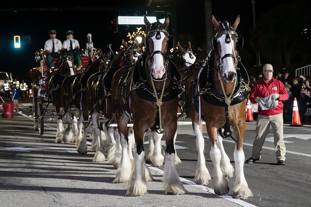 Merry and bright: 34th annual HOme for the HOlidays parade welcomes the ...