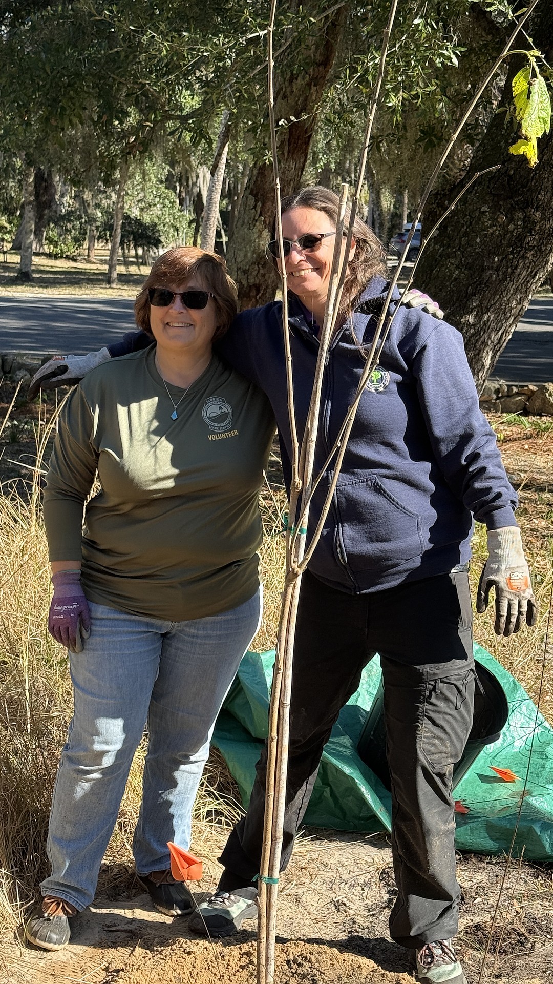 Friends of the Tomoka Basin State Parks plant new native tree on ...