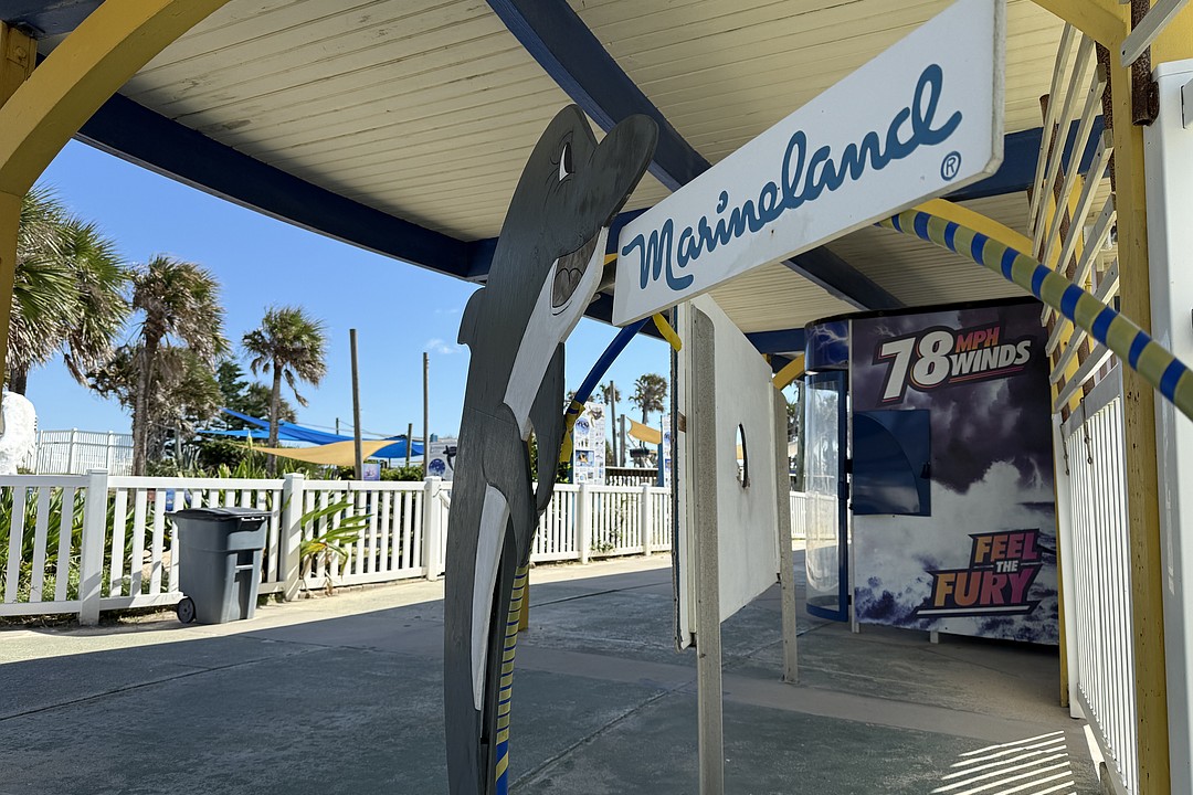 Marineland Dolphin Adventure takes steps to pivot from entertainment to ...