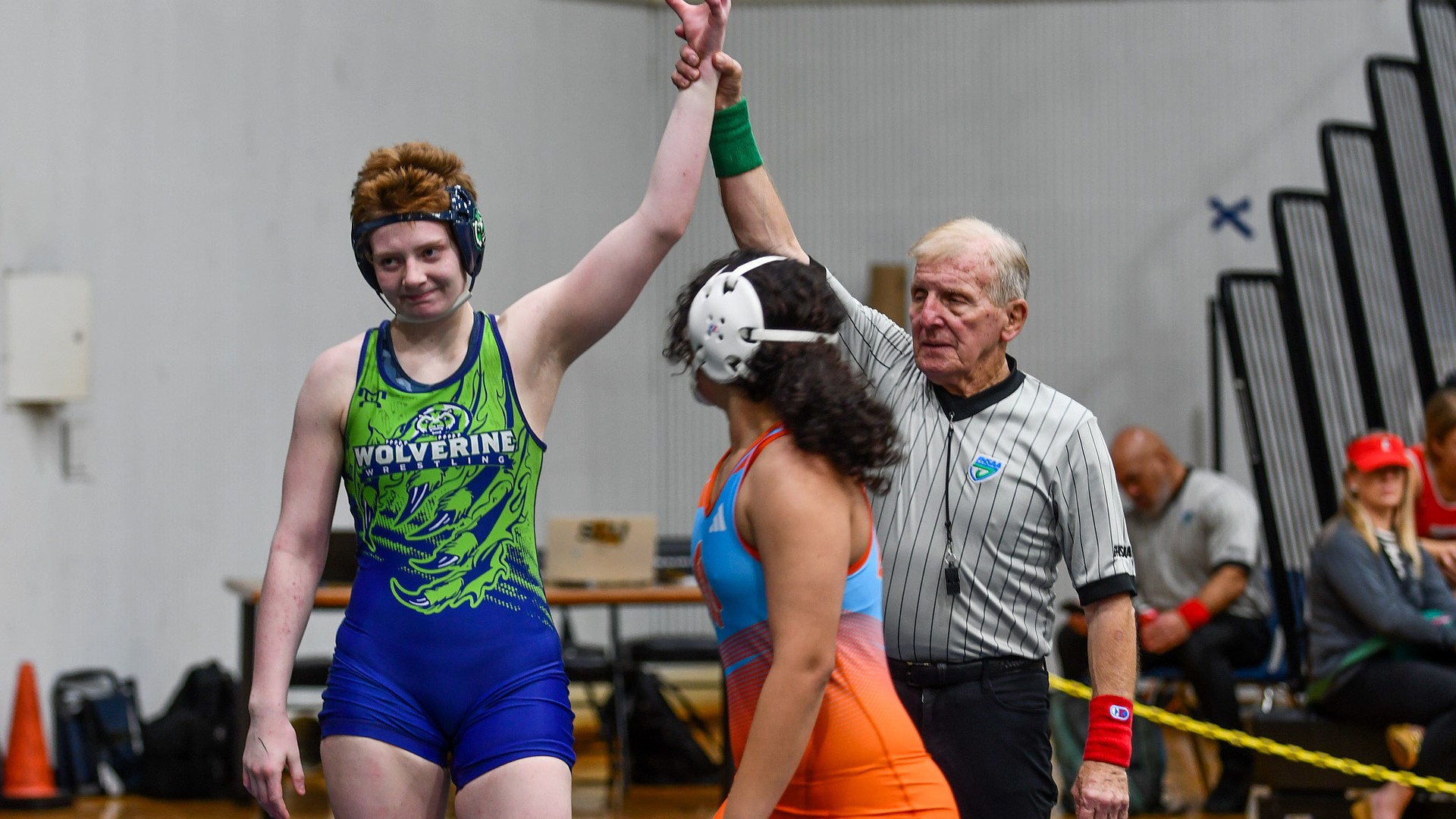 Girls wrestling looks towards regionals after success in districts ...