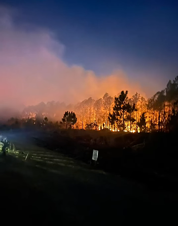 227-acre Daytona Beach brush fire near Mosaic neighborhood 100% ...