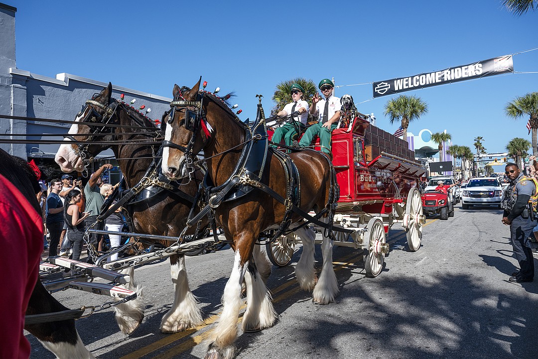 85th annual Daytona Beach Bike Week hitches to Budweiser Clydesdales ...