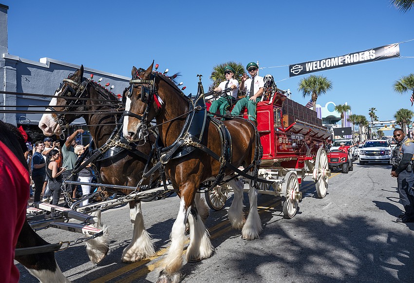 85th annual Daytona Beach Bike Week hitches to Budweiser Clydesdales ...