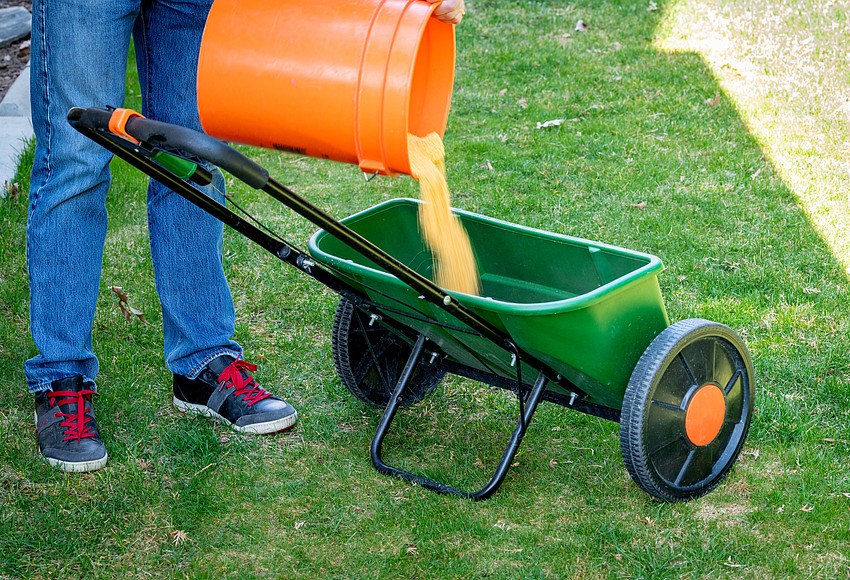 Residents are reminded of fertilizer restrictions in Winter Garden ...