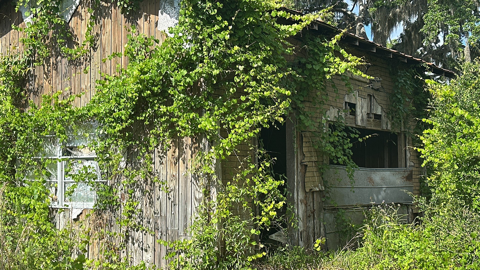 New owners expand vision for Split Oak Ranch with agritourism center ...