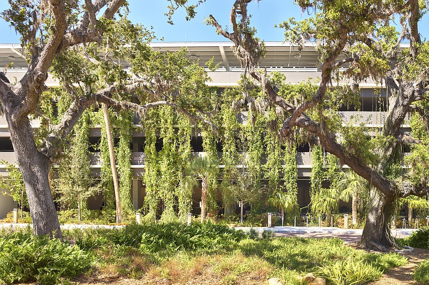 Architect wins industry award for Selby Gardens design work | Your Observer