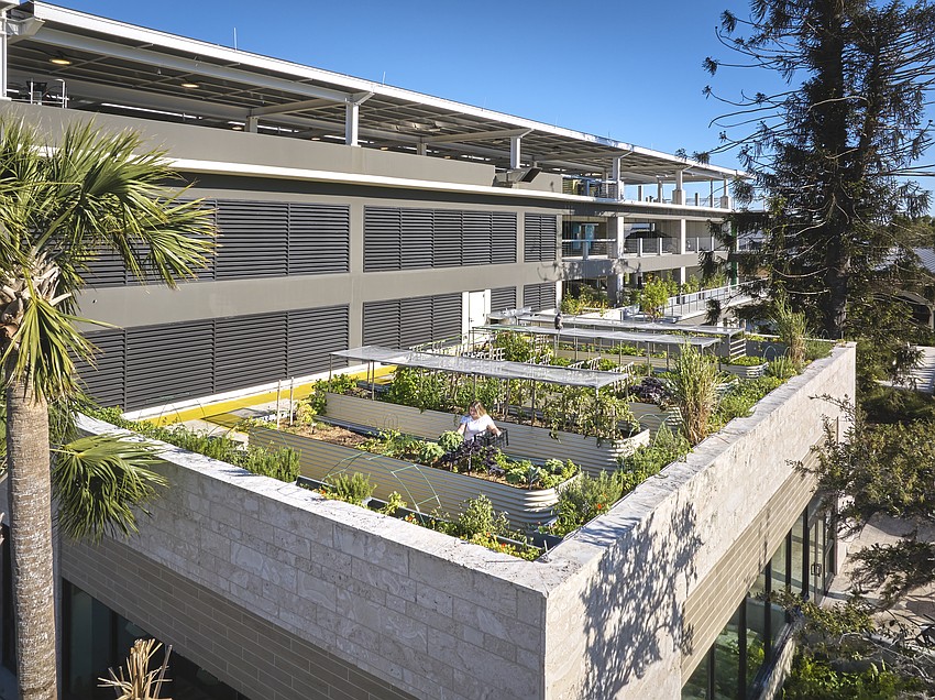 Architect wins industry award for Selby Gardens design work | Your Observer